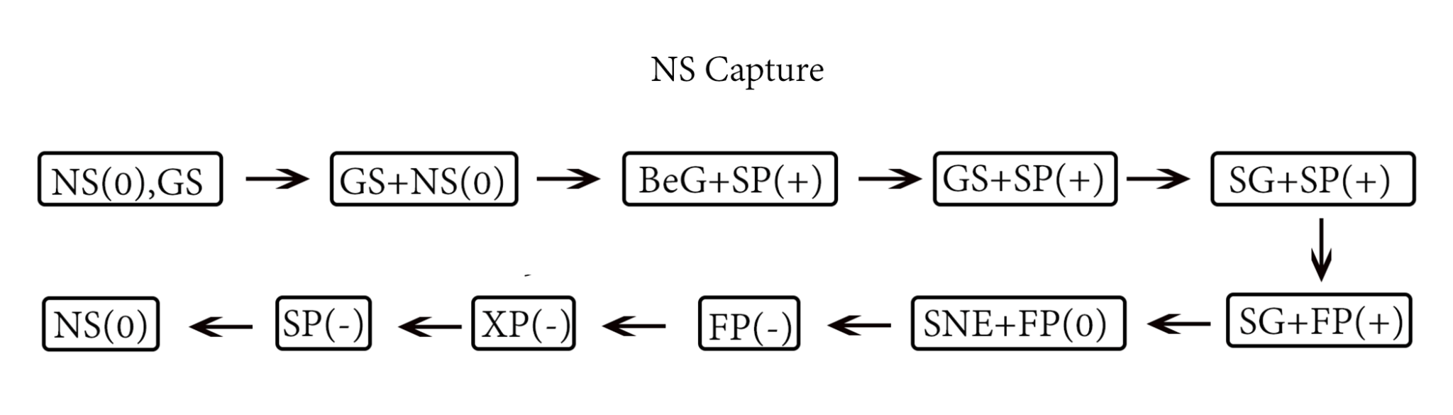 Diagram of NS Creation & NS Capture | Secret Of The Pulsars